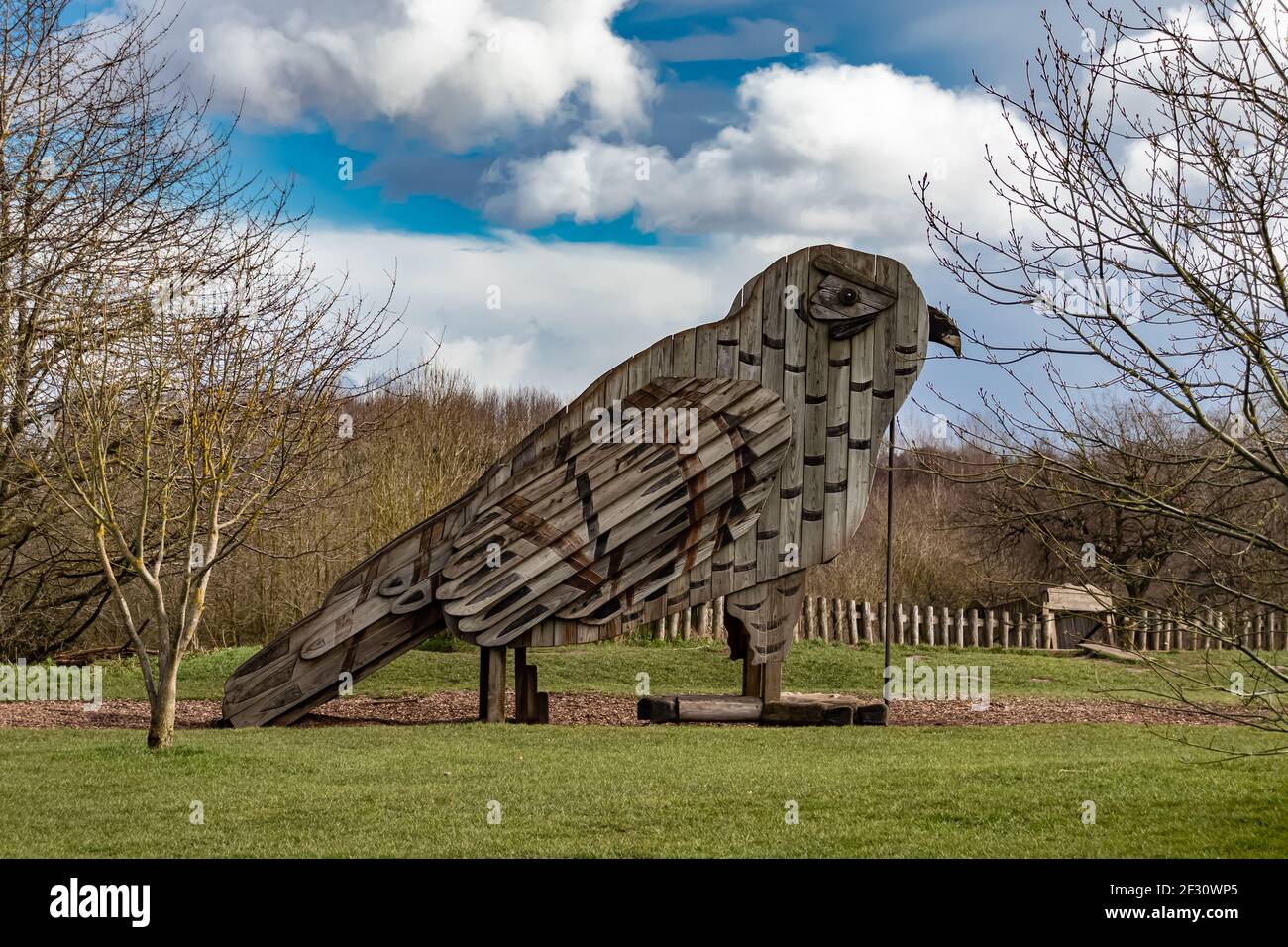 Owl forestry hi-res stock photography and images - Alamy