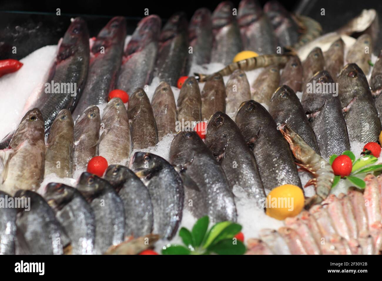 Details of fish counter at the market Stock Photo - Alamy