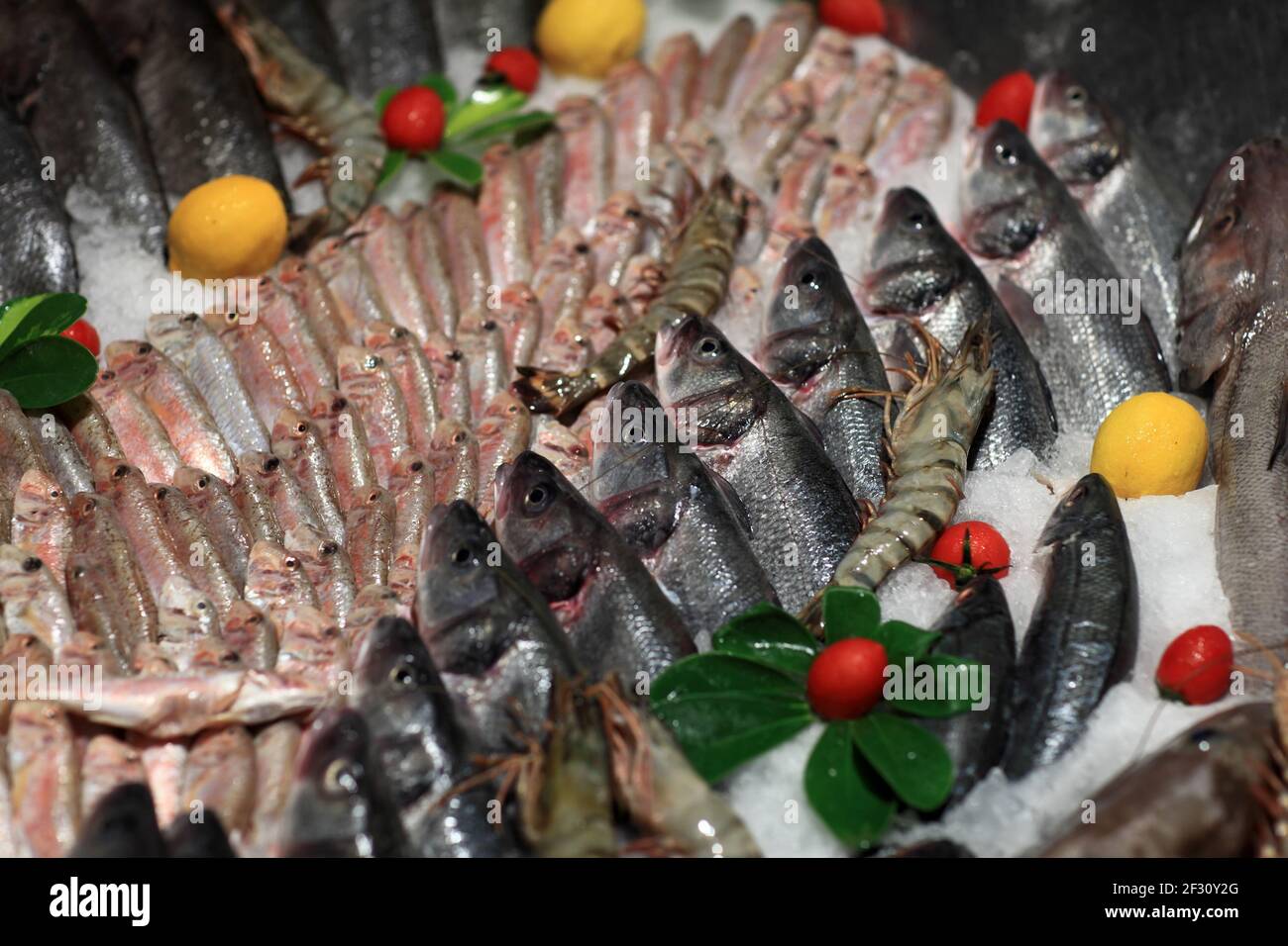 Frozen foods counter hi-res stock photography and images - Alamy