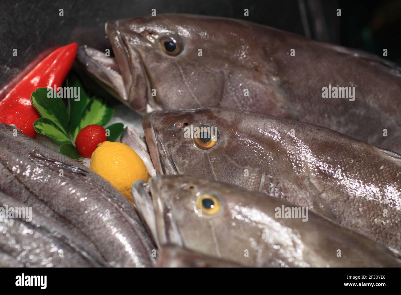 Details of the fresh bluefishes at a market Stock Photo - Alamy