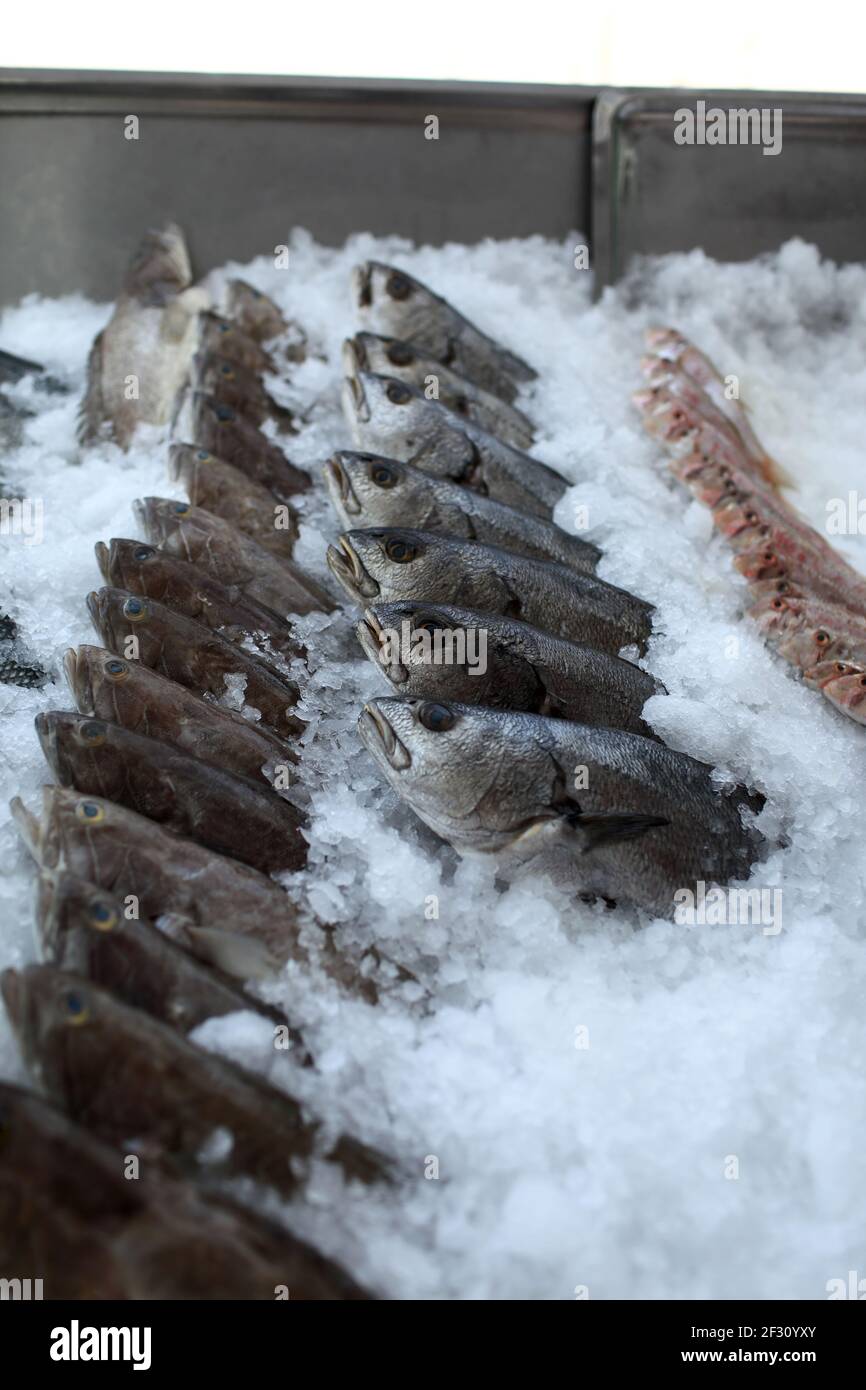 Various fishes on the ice counter at a market Stock Photo - Alamy