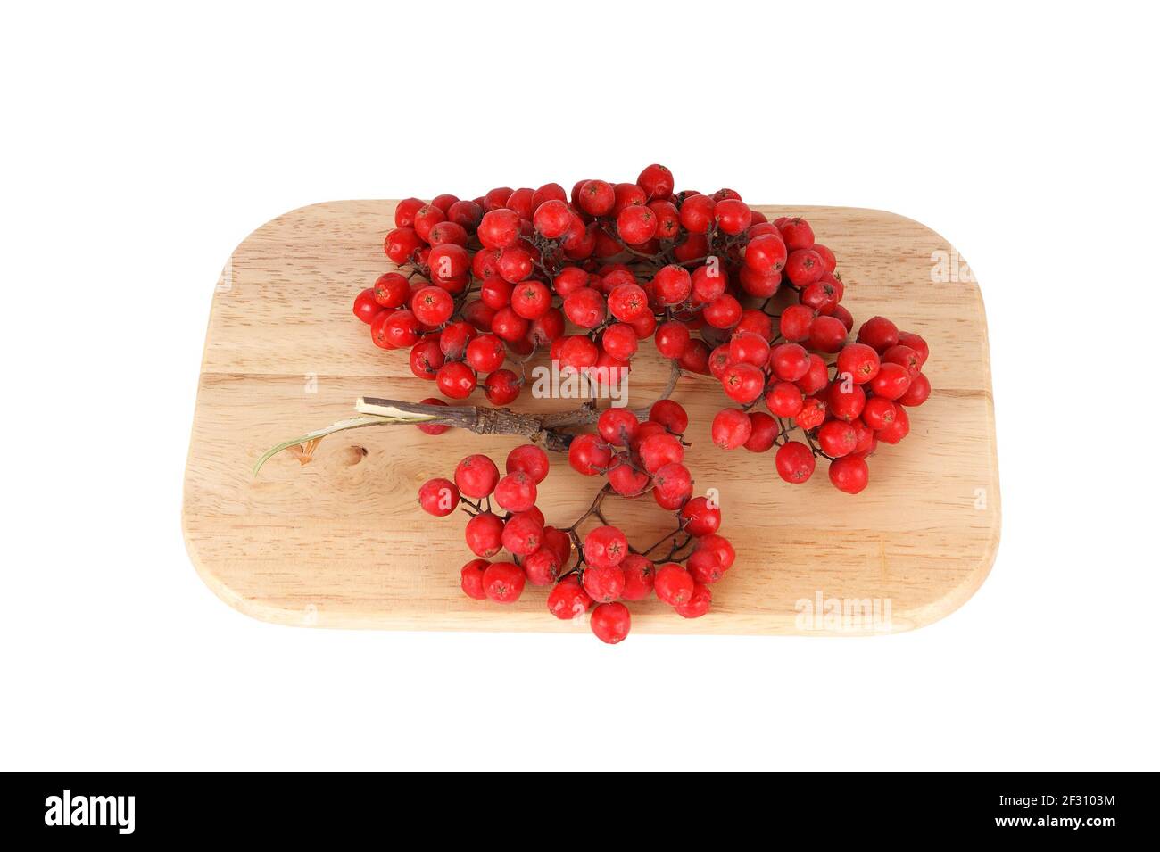 Still life with red natural rowan on a white background Stock Photo - Alamy