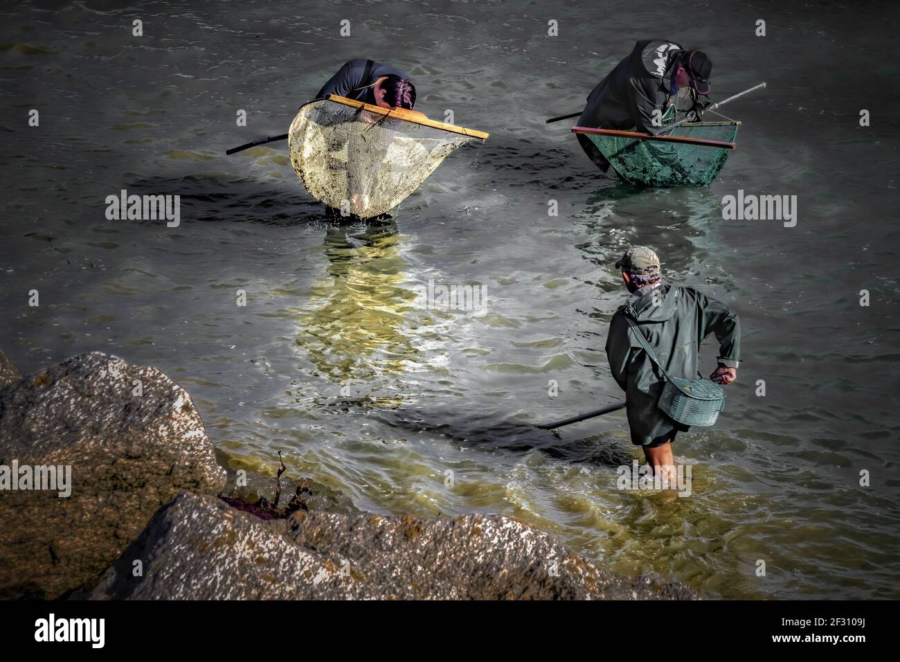 Fishing on foot in Brittany Stock Photo - Alamy