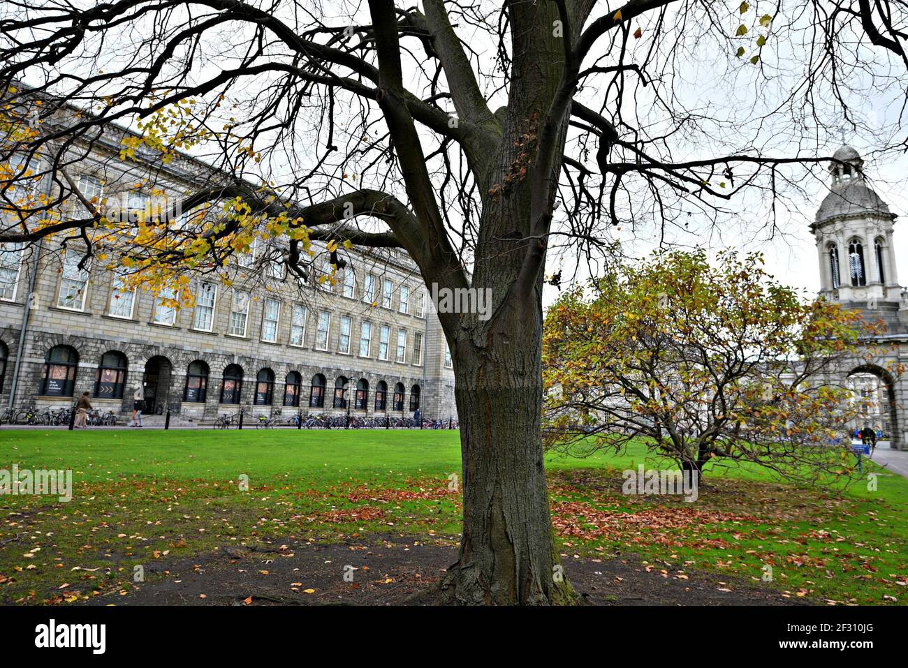 Exterior view of Trinity College including the Campanile, an iconic ...