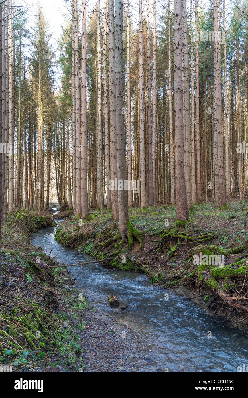 Hiking in westerwald hi-res stock photography and images - Alamy