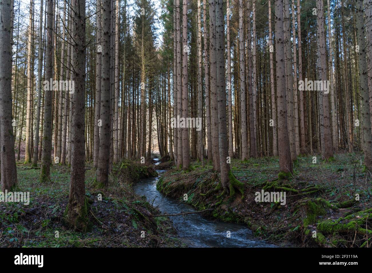 Westerwald a hi-res stock photography and images - Alamy