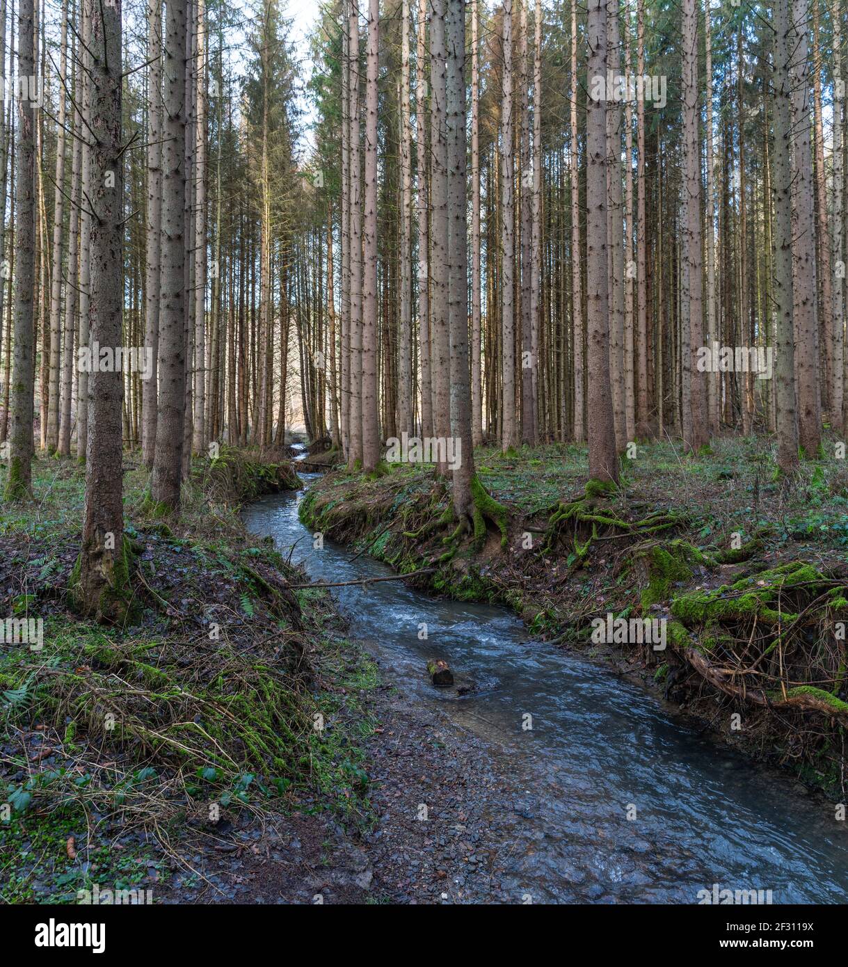 Hiking in westerwald hi-res stock photography and images - Alamy