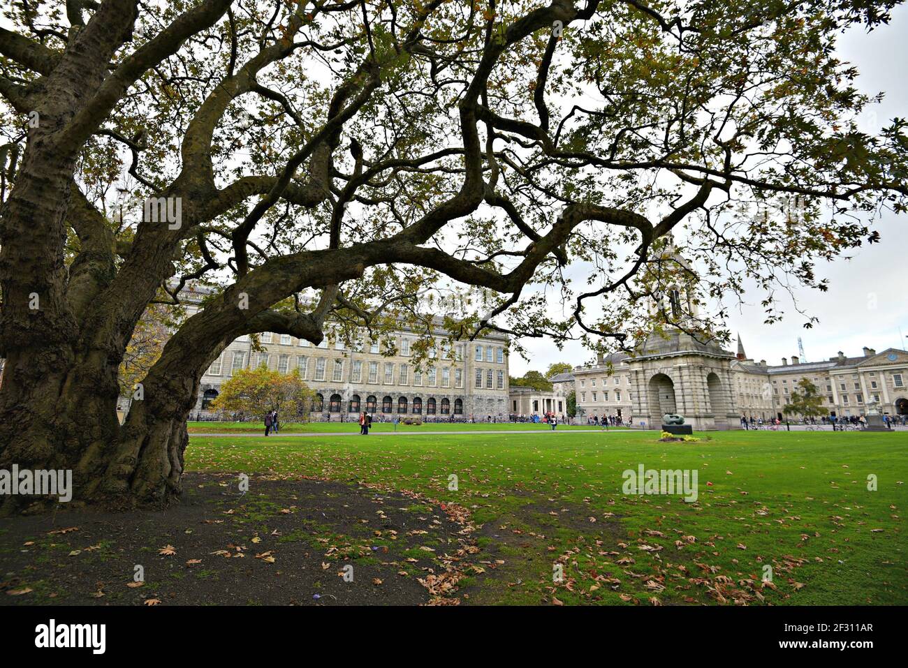 Exterior view of Trinity College including the Campanile, an iconic ...