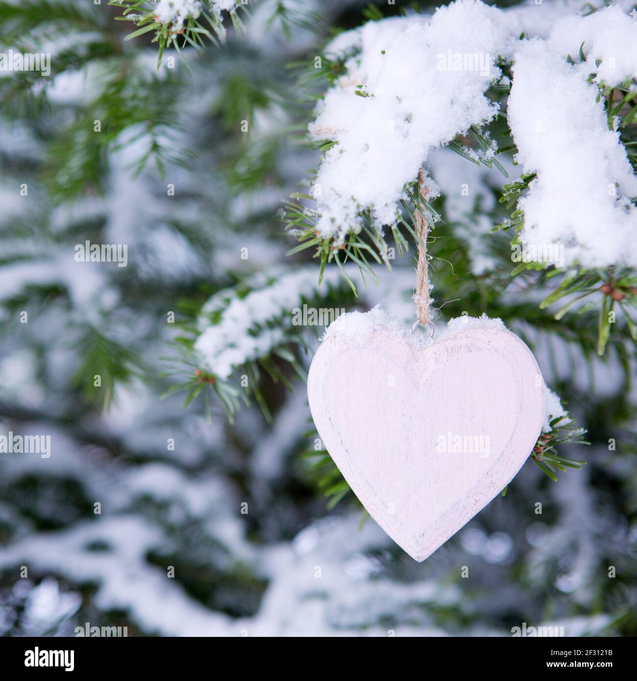 Pink pine hi-res stock photography and images - Alamy