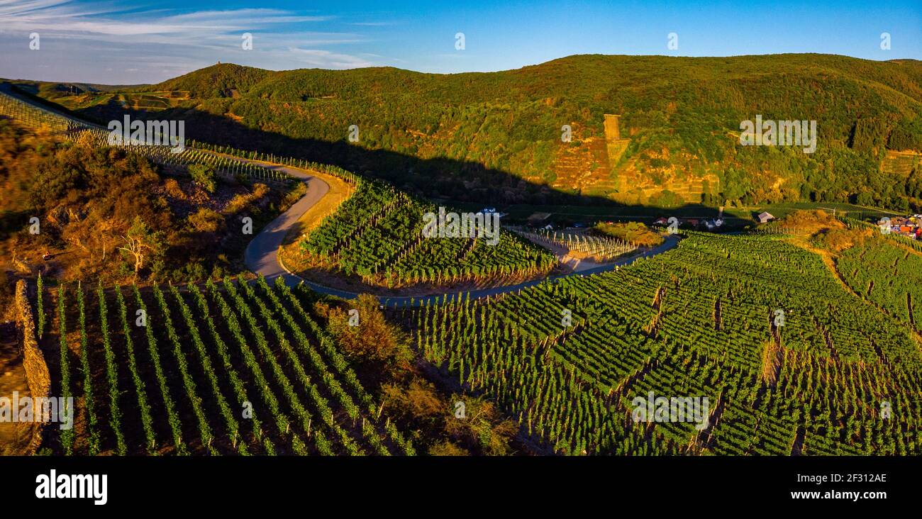 River ahr vineyards hi-res stock photography and images - Alamy
