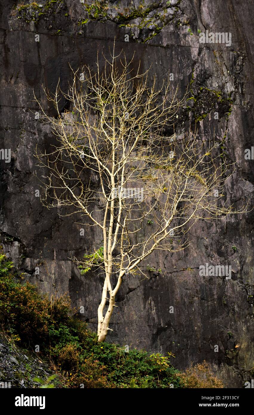 Slate quarry in winter hi-res stock photography and images - Alamy