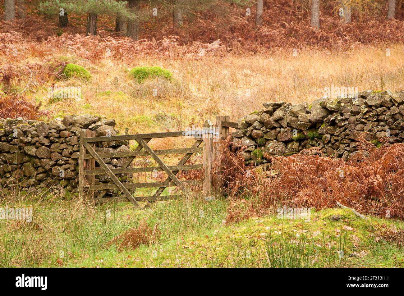 Five bar gate in a dry stone wall 9987 Stock Photo - Alamy