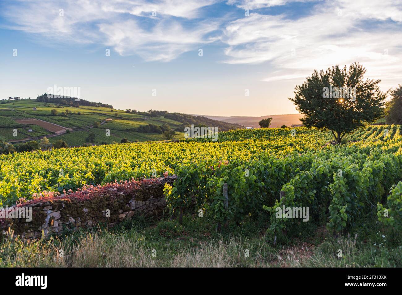 Beaune france village overview hi-res stock photography and images - Alamy