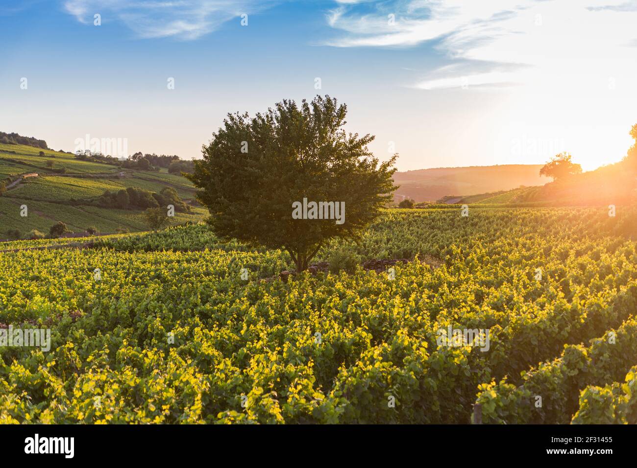 Beaune france village overview hi-res stock photography and images - Alamy