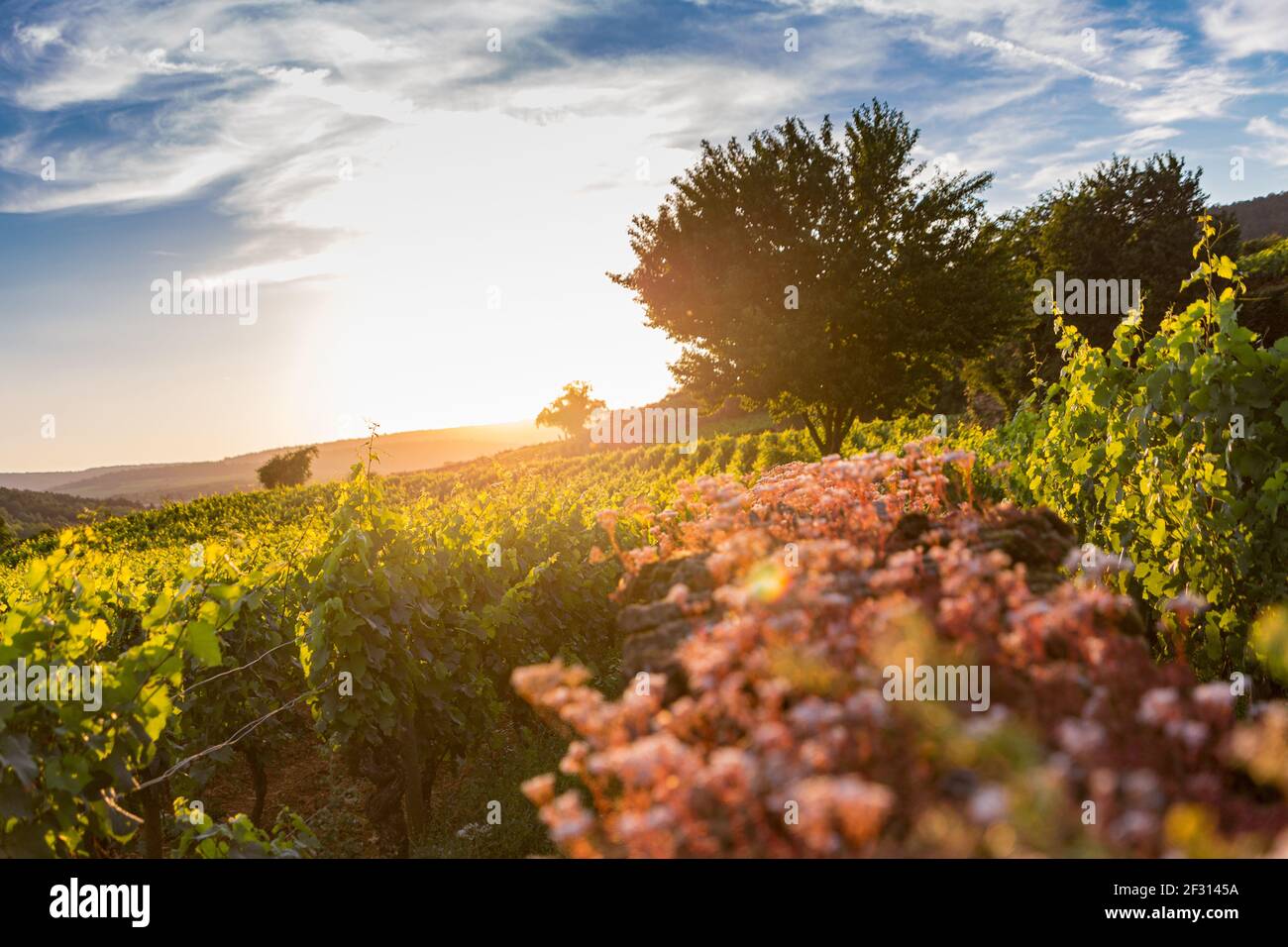 Beaune france village overview hi-res stock photography and images - Alamy