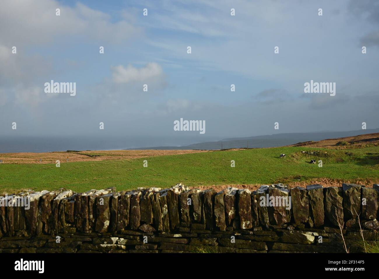 Irish scenic landscape in the countryside of Cliffs of Moher in County ...