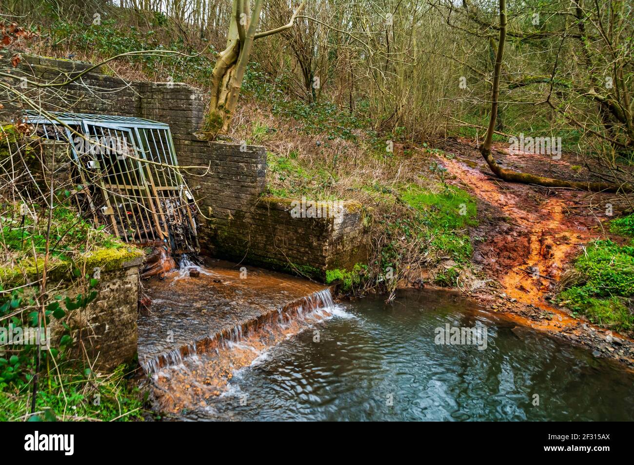 Severe bright orange ochre seepage from a slope at the west end of the ...