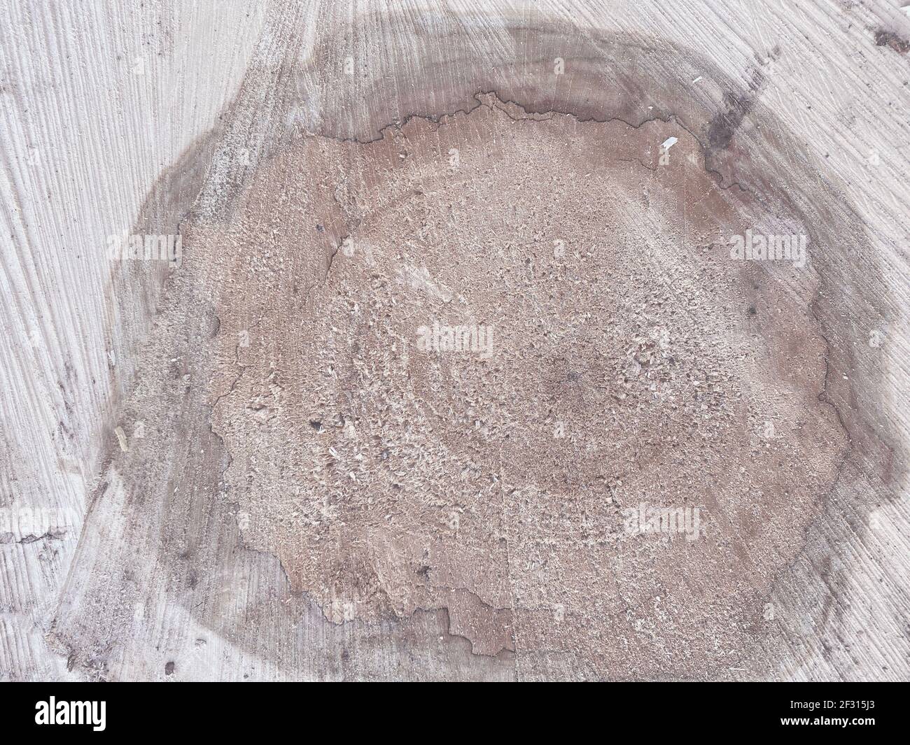 Wooden background, cut tree pattern. Texture of cut tree. Tree age ...