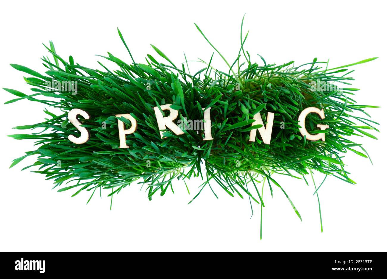Word SPRING made of wooden letters on a bunch of fresh green grass ...