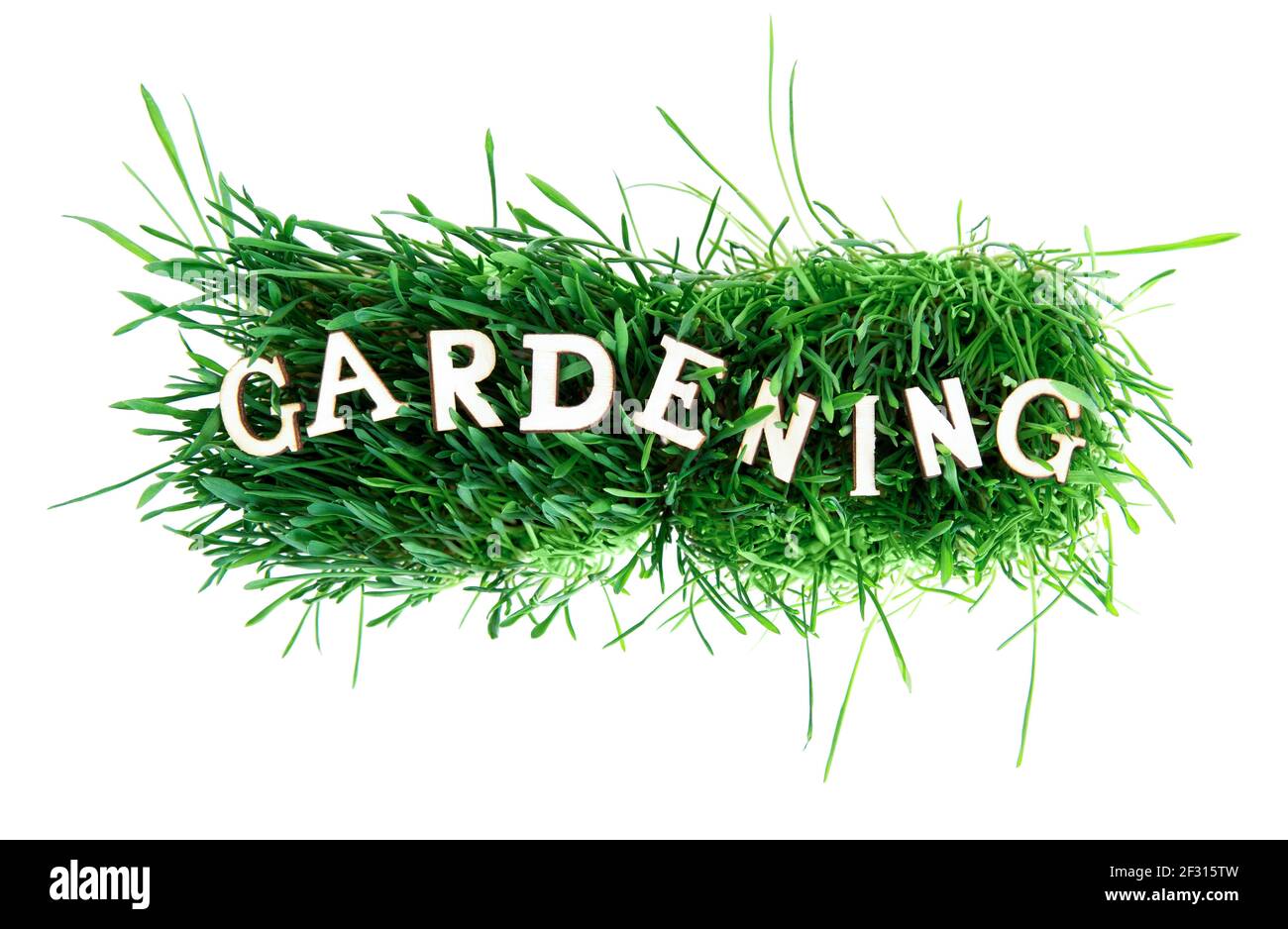 Word GARDENING made of wooden letters on a bunch of fresh green grass ...