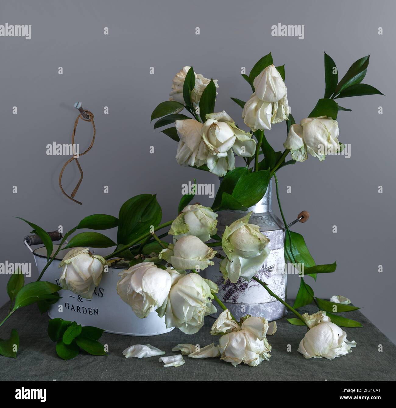 Still life with a bouquet of white withered roses. Vintage Stock Photo ...