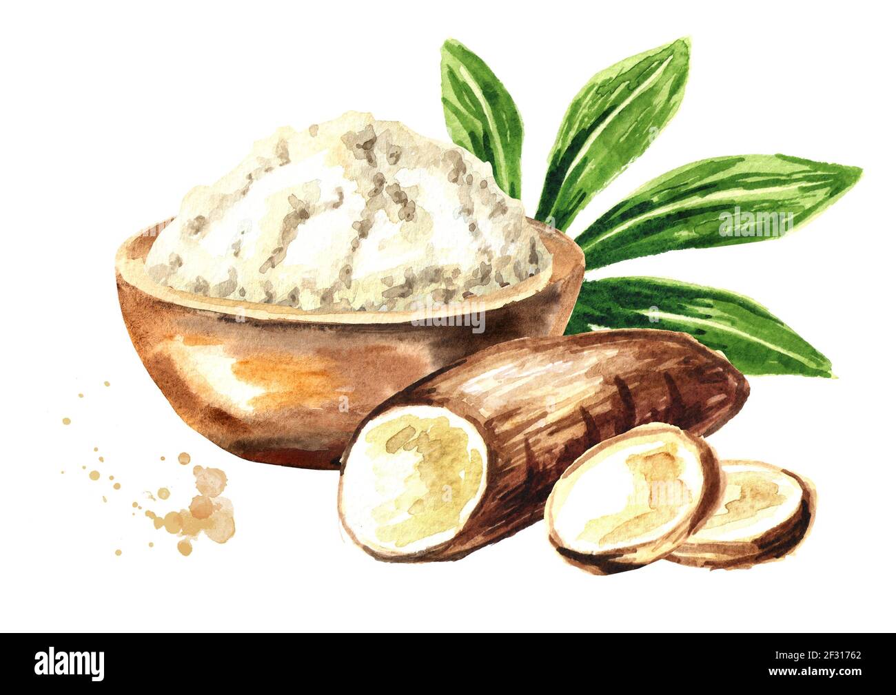 Cassava root, tuber, slices, powder and slices. Manihot esculenta ... Cassava root, tuber, slices, powder and slices. Manihot esculenta ...