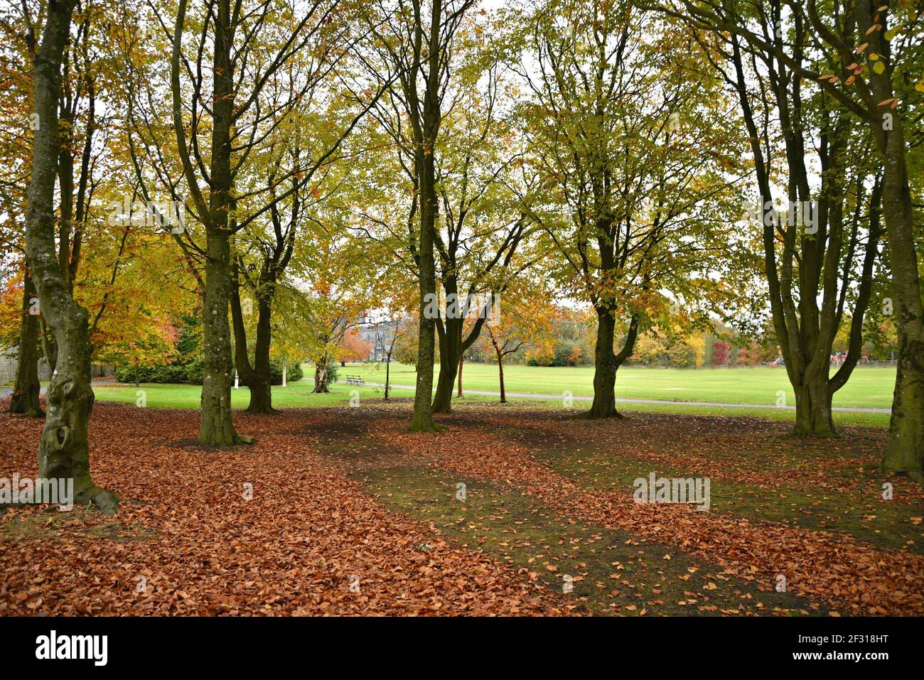 Irish countryside paintings hi-res stock photography and images - Alamy
