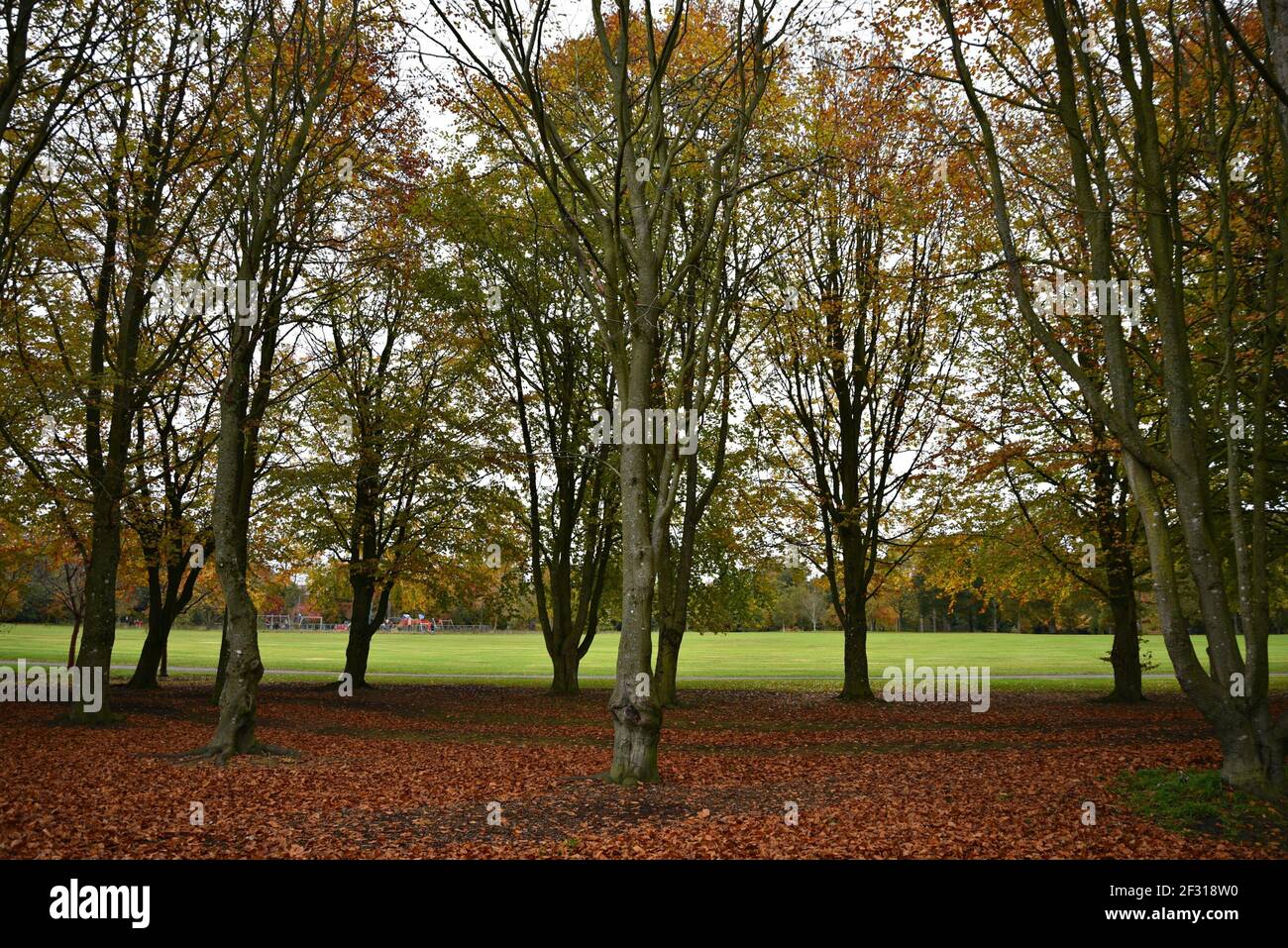 Irish countryside paintings hi-res stock photography and images - Alamy