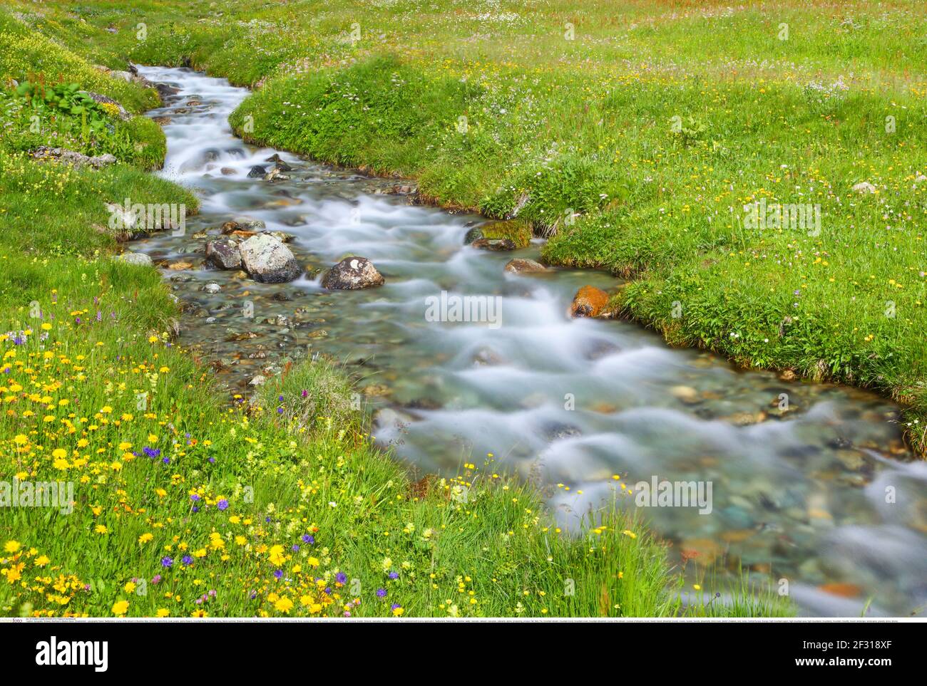 Stream in the alps hi-res stock photography and images - Alamy