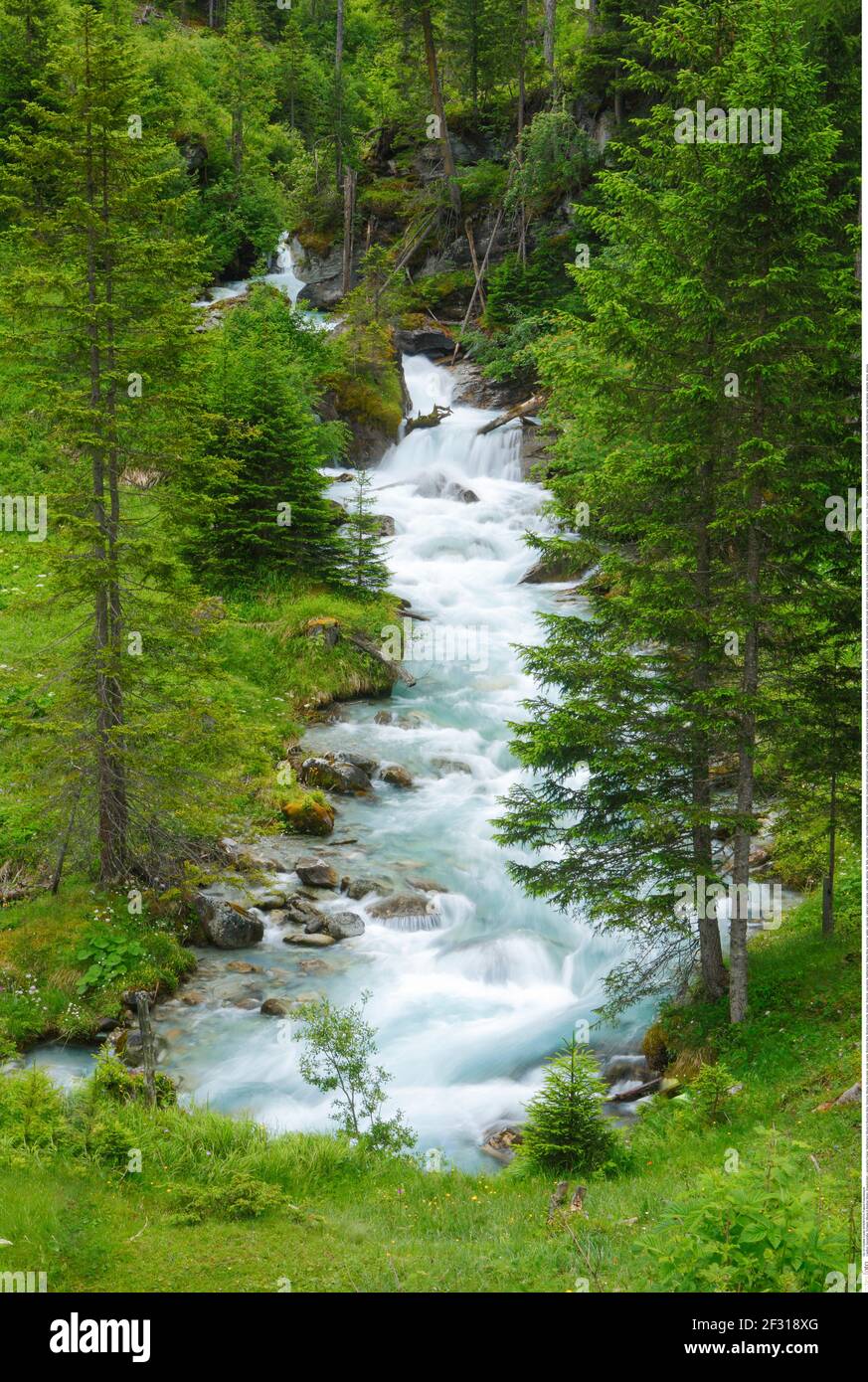 Albula alps hi-res stock photography and images - Alamy