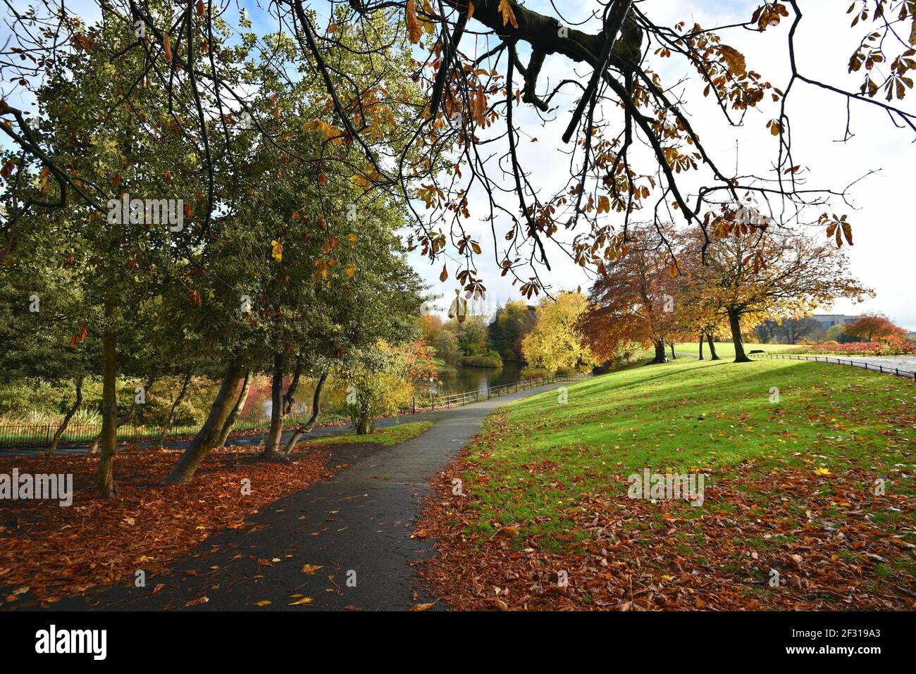 Phoenix Park walking path autumn landscape in Dublin, Ireland Stock ...