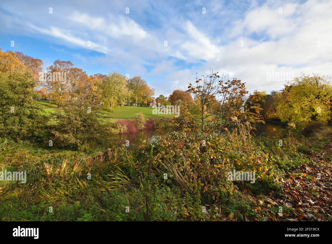 Phoenix Park autumn landscape in Dublin, Ireland Stock Photo - Alamy