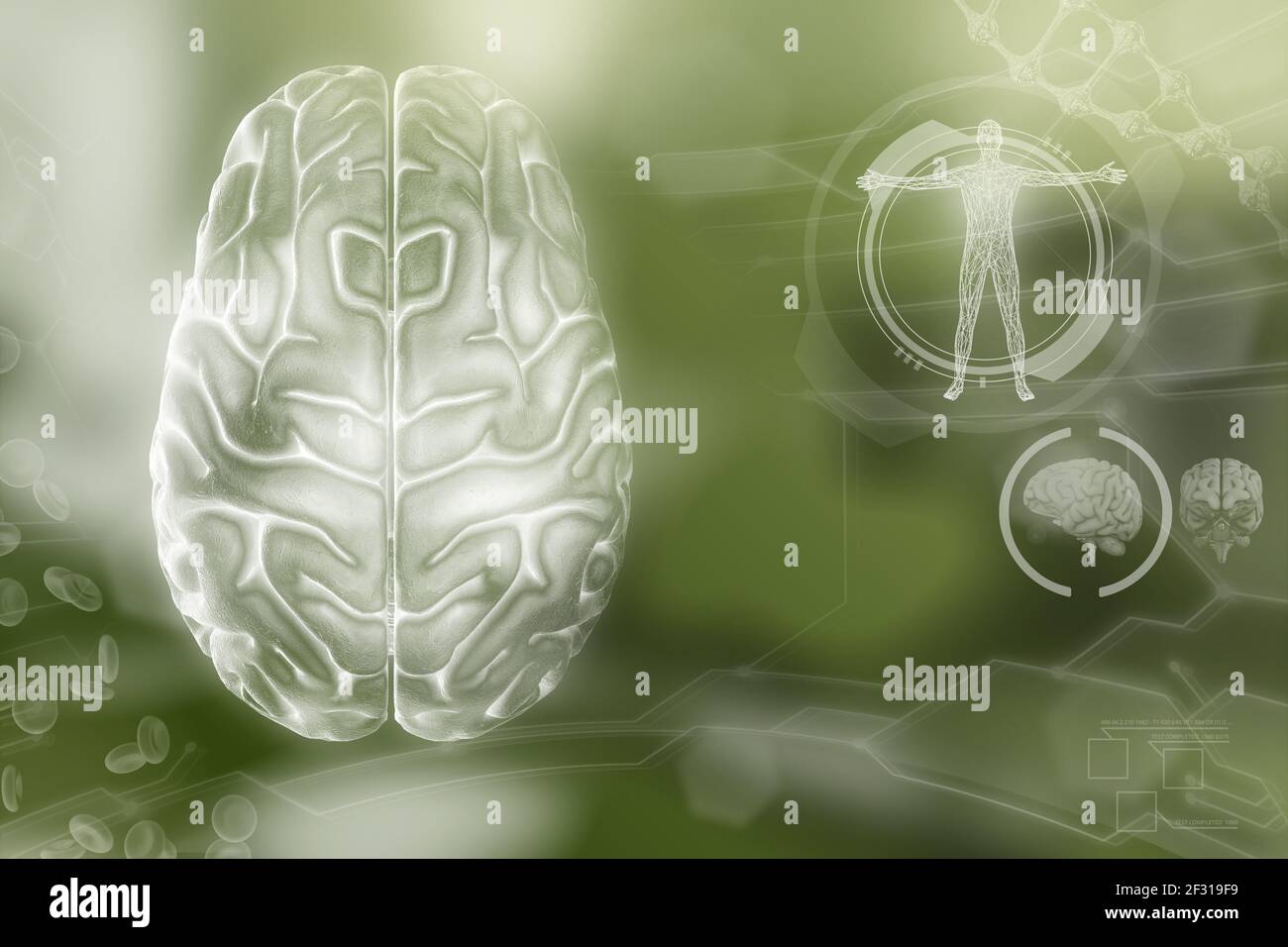 Human brain, neurology work concept - highly detailed electronic ...