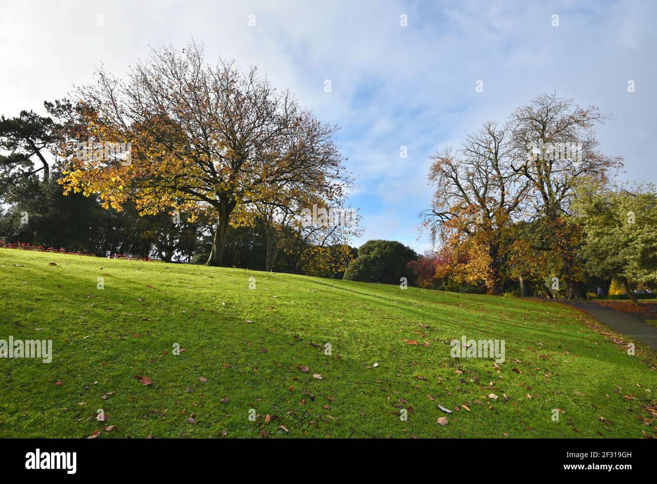 Phoenix Park autumn landscape in Dublin, Ireland Stock Photo - Alamy