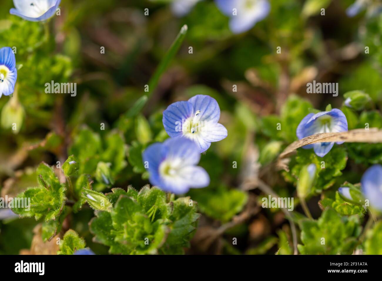 It's a warm spring day, so I went to a nearby park to find and take ...