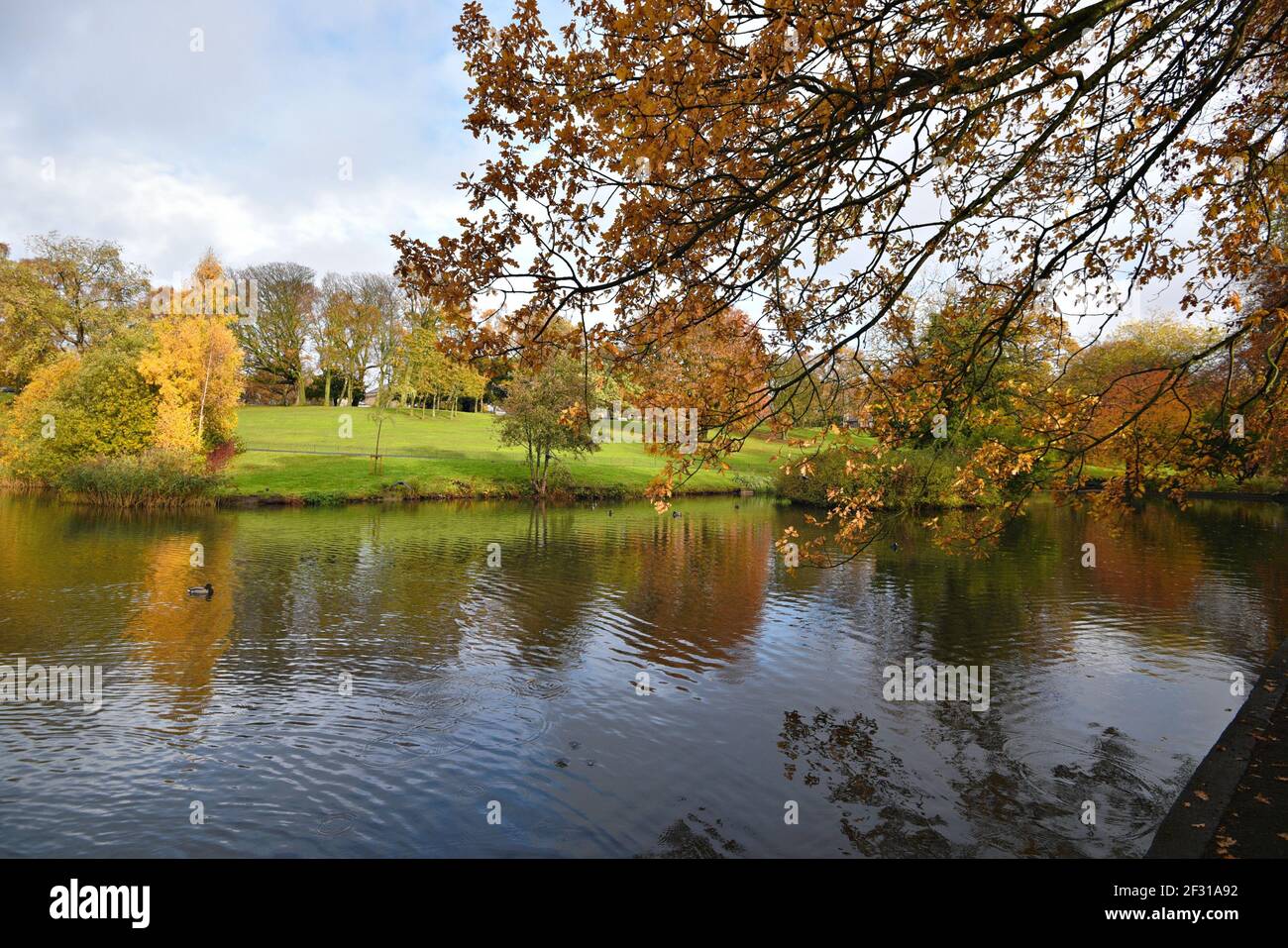 Obelisk pond in autumn hi-res stock photography and images - Alamy