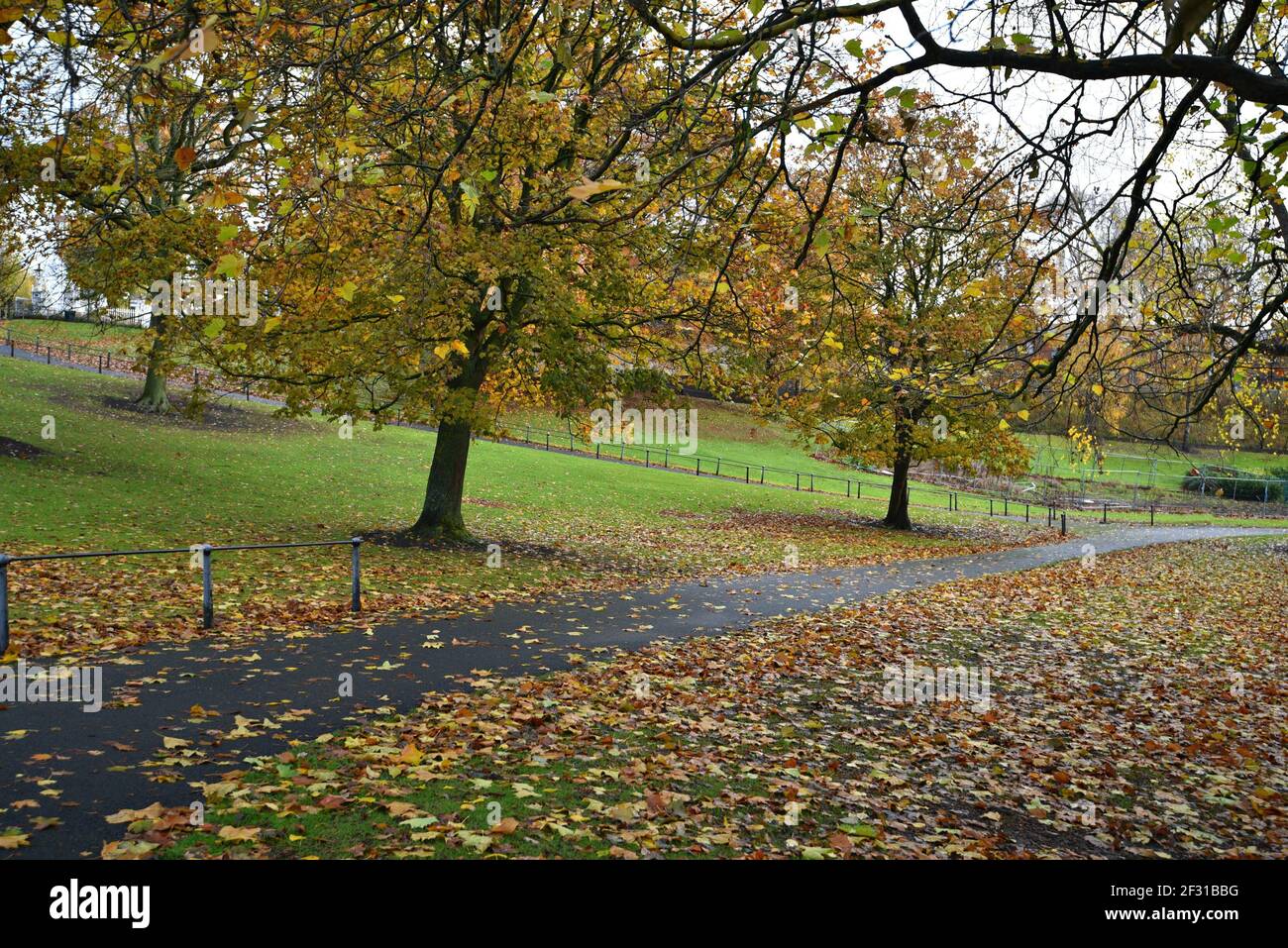 Phoenix Park walking path autumn landscape in Dublin, Ireland Stock ...