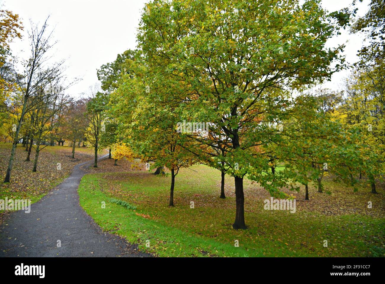 Phoenix Park walking path autumn landscape in Dublin, Ireland Stock ...