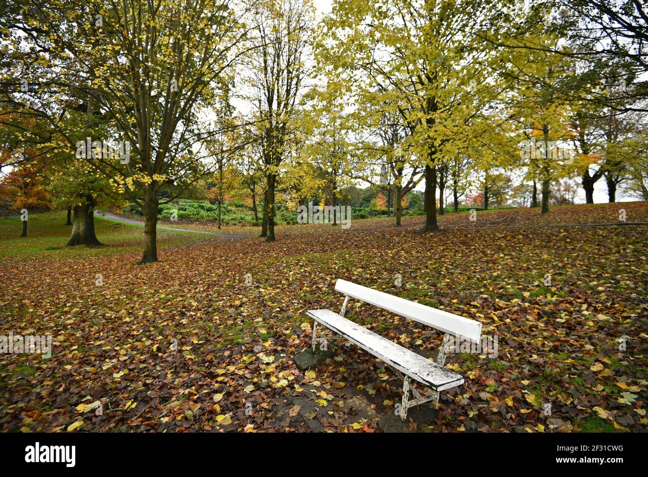 Phoenix Park autumn landscape in Dublin, Ireland Stock Photo - Alamy