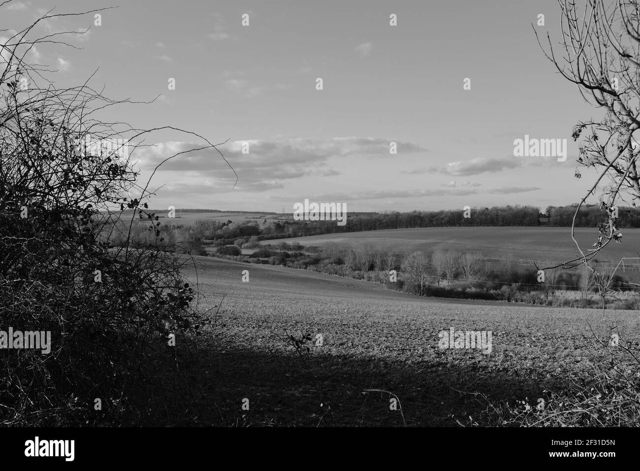 wide open sky view of large field in Newport Essex waiting for crop to ...