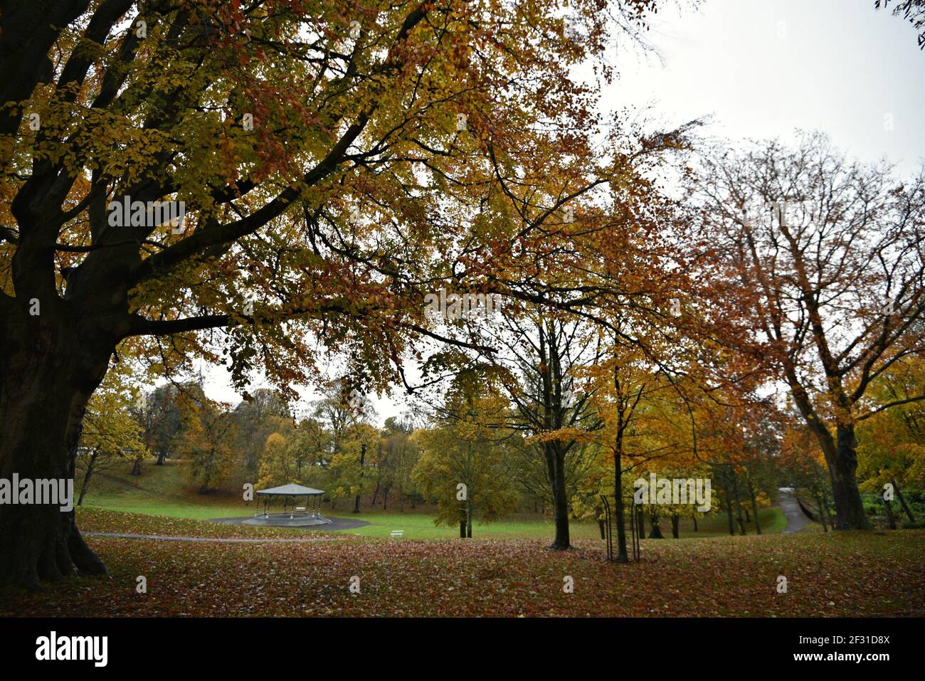 Phoenix Park autumn landscape in Dublin, Ireland Stock Photo - Alamy