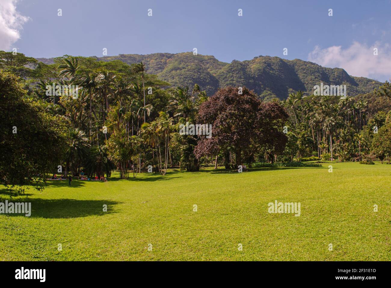 Wide shot landscape mountains hi-res stock photography and images - Alamy