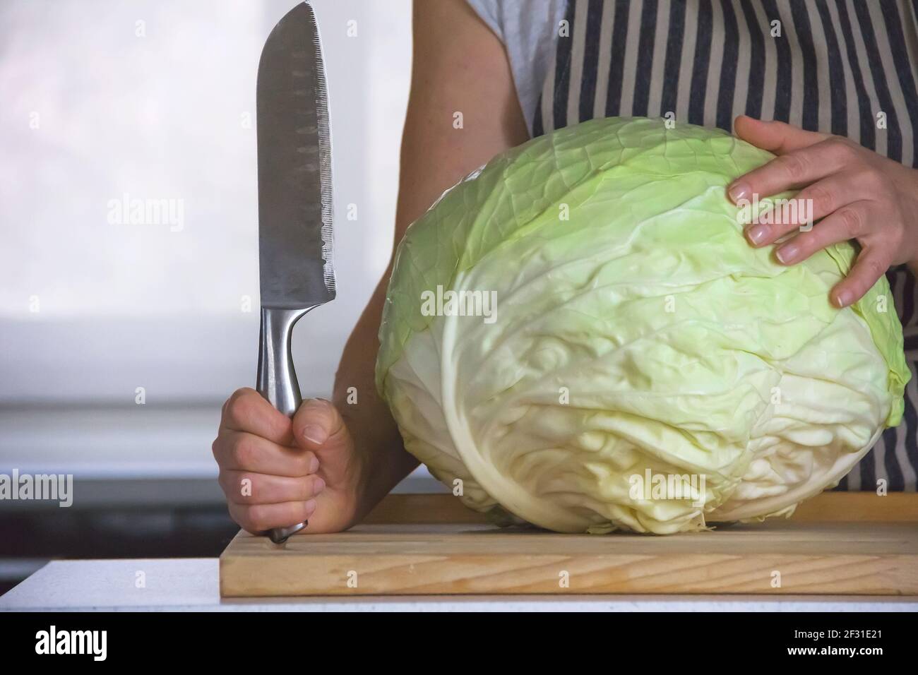 Woman cutting cabbage sauerkraut hi-res stock photography and images ...