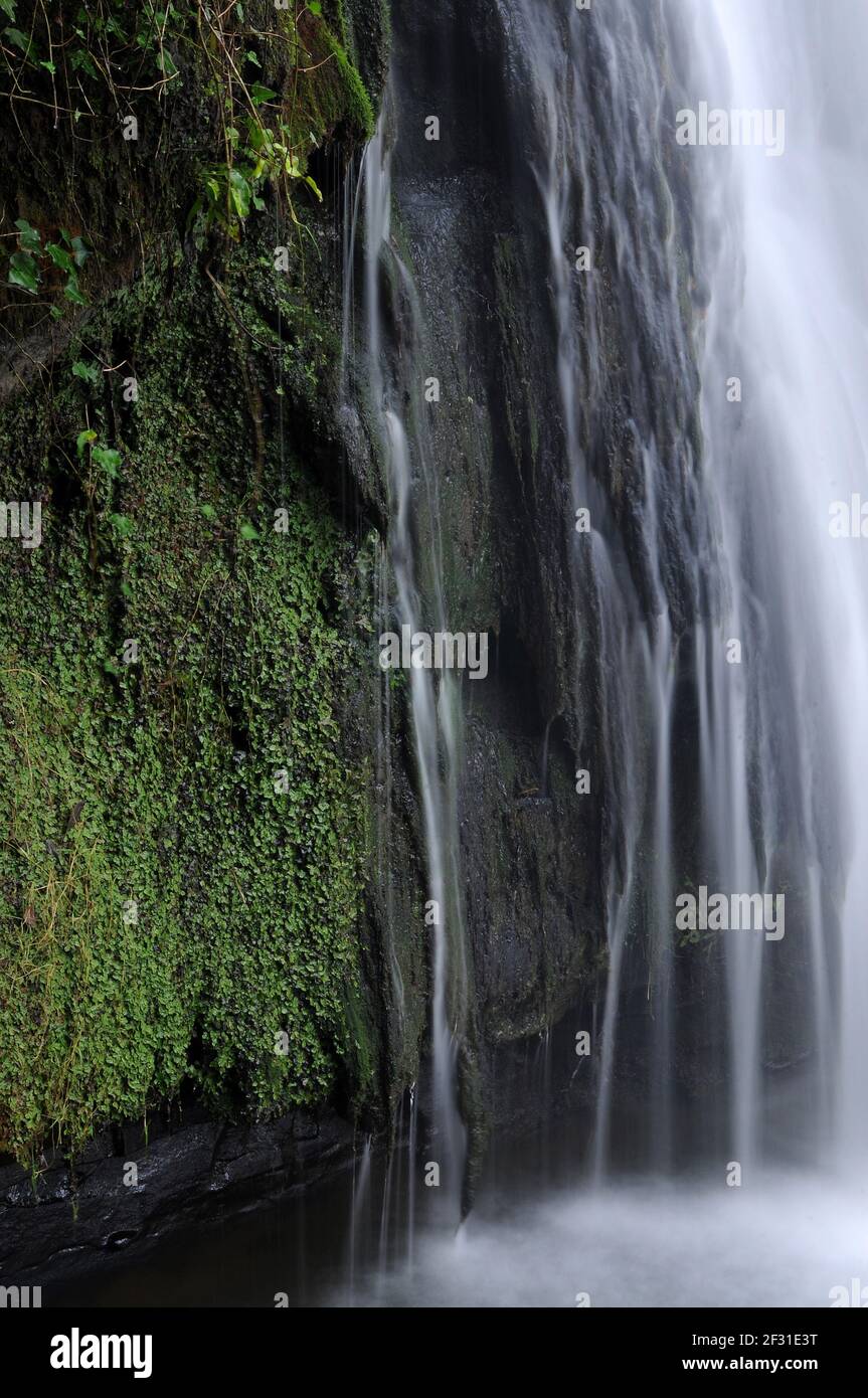 15 feet tall hi-res stock photography and images - Alamy