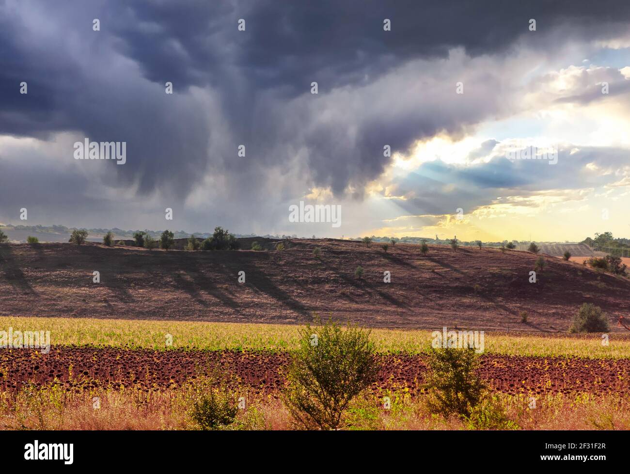 Cloudburst over the hill . Nature before heavy rain Stock Photo - Alamy