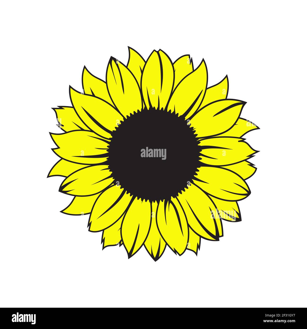 Sunflower vector illustration Stock Vector Image & Art - Alamy