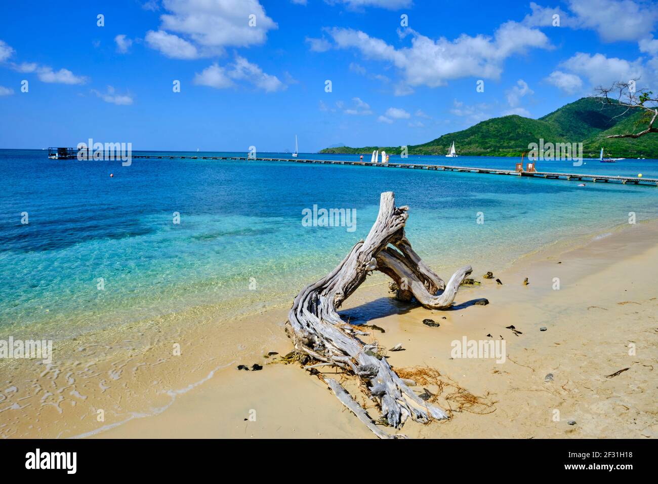 Pointe marin hi-res stock photography and images - Alamy