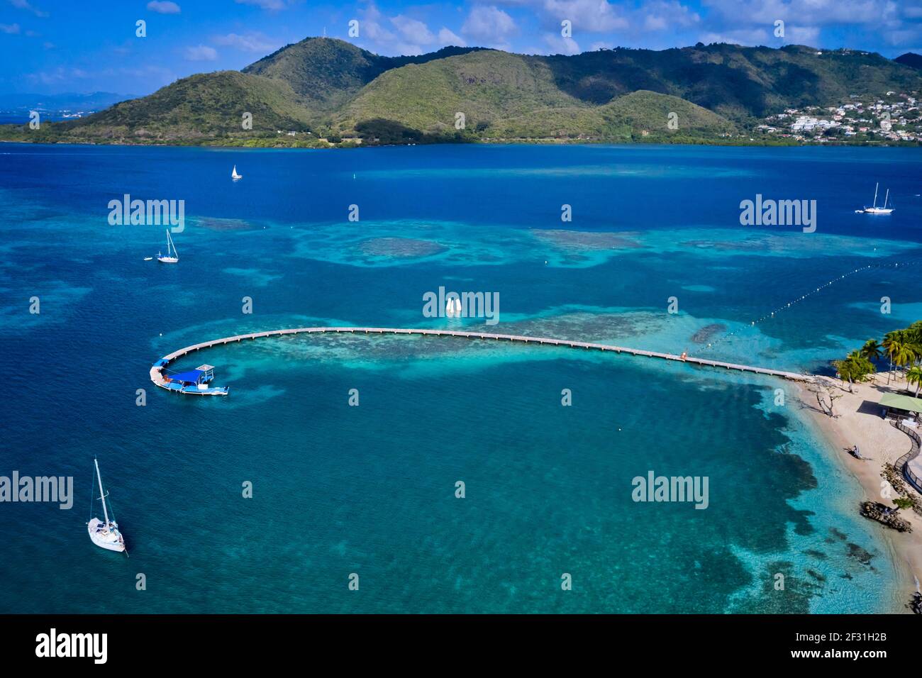France, West Indies, Martinique, Sainte-Anne, Pointe Marin beach, the ...