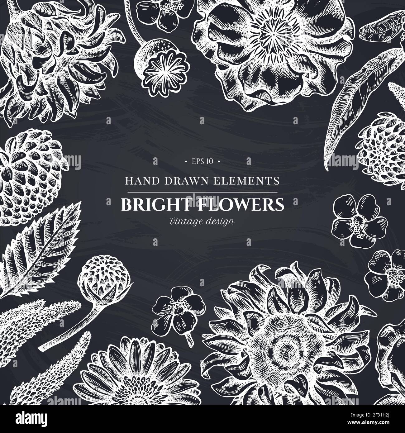 Floral design with chalk poppy flower, gerbera, sunflower, milkweed ...