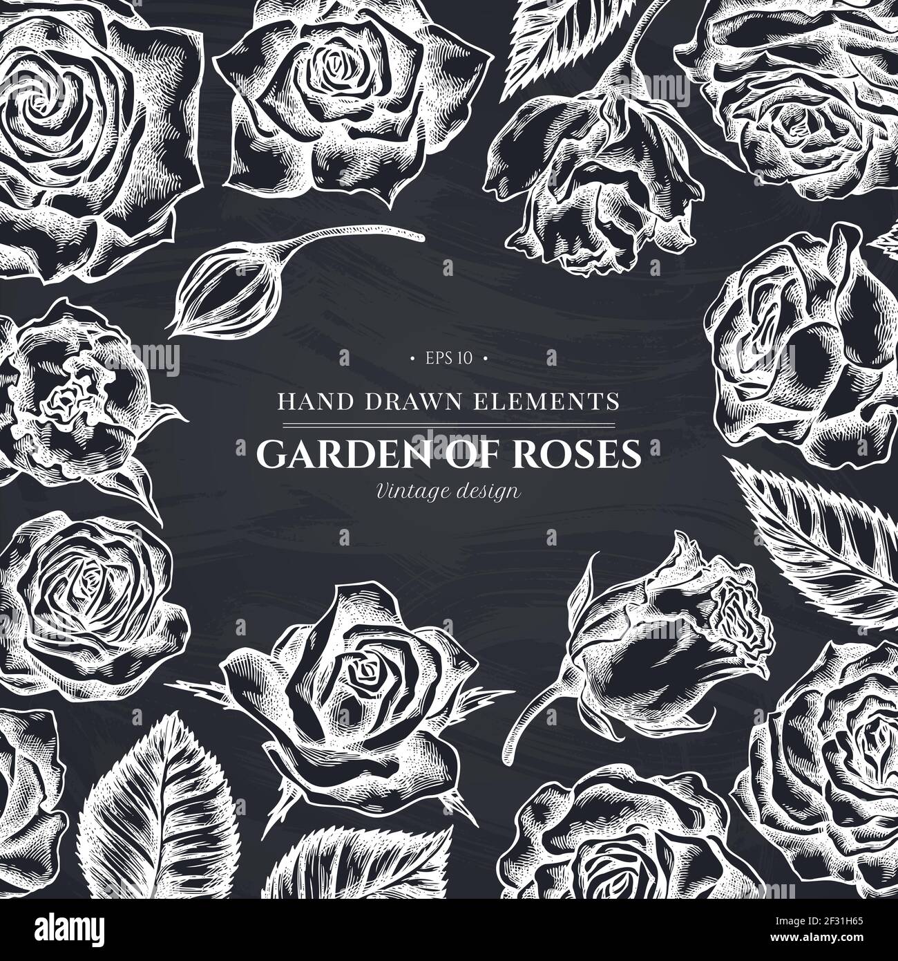 Floral design with chalk roses Stock Vector Image & Art - Alamy